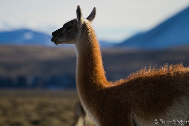 A Breathtaking Journey Into Torres Del Paine National Park • We Blog ...