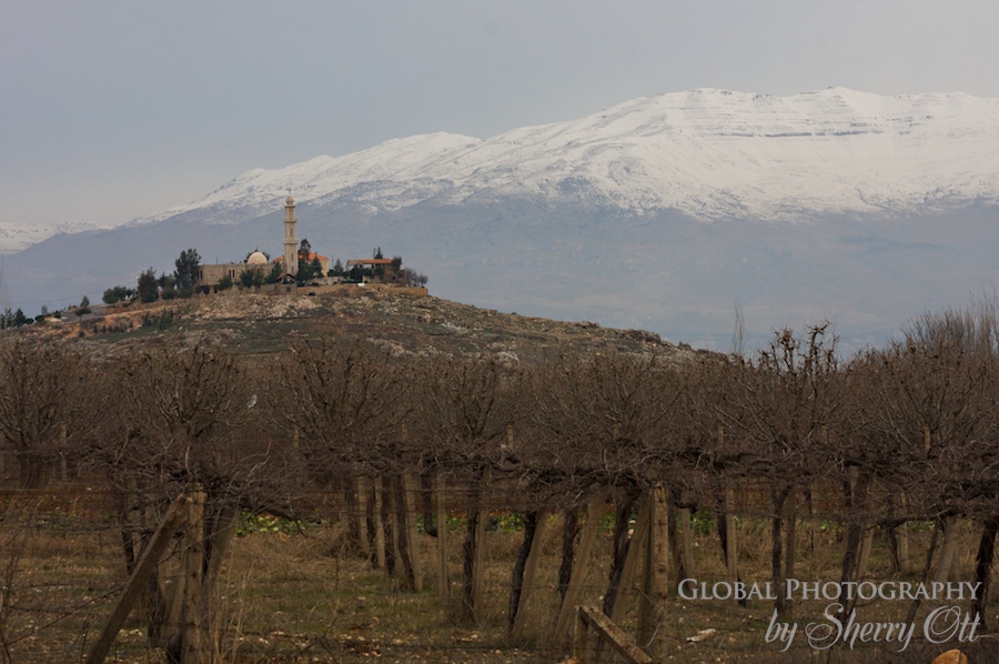 Photos of the Week: Lebanon Landscapes • We Blog The World